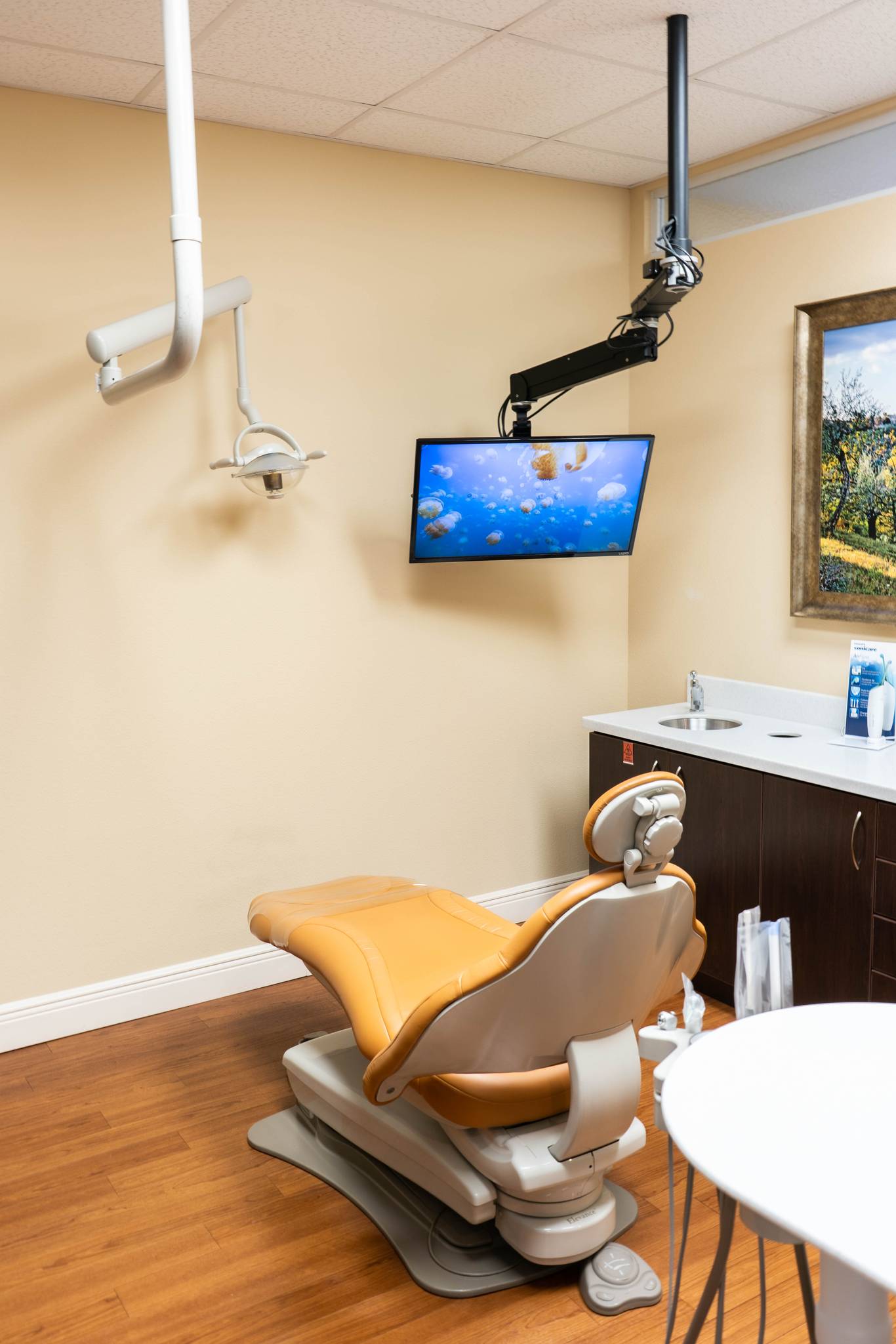 Chamberlain Dental | Best Dental Office in Clearwater, FL